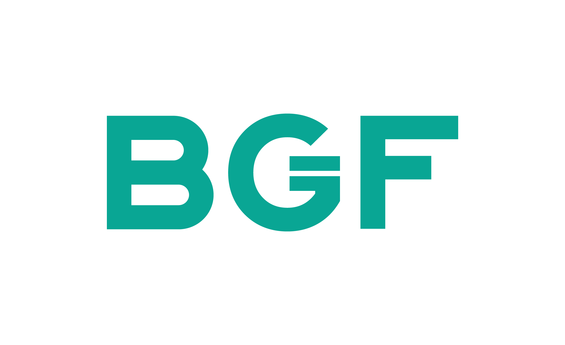 Terms & Conditions - BGF Ireland